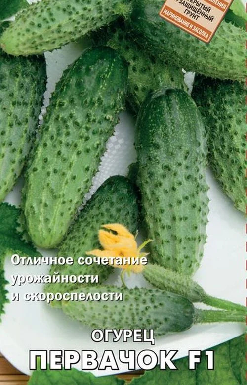 Огурец Первачок: описание и характеристики сорта, правила посадки и ...