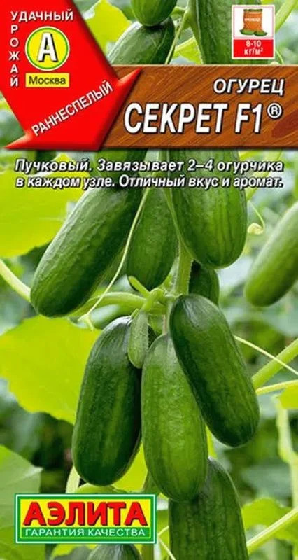 Огурец Секрет: описание и характеристики сорта, правила посадки и ...