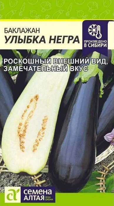 Баклажан Улыбка негра: описание и характеристика сорта, агротехника ...