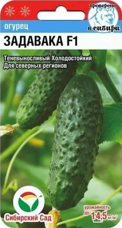 Огурец Задавака: описание и характеристики сорта, правила посадки и ...
