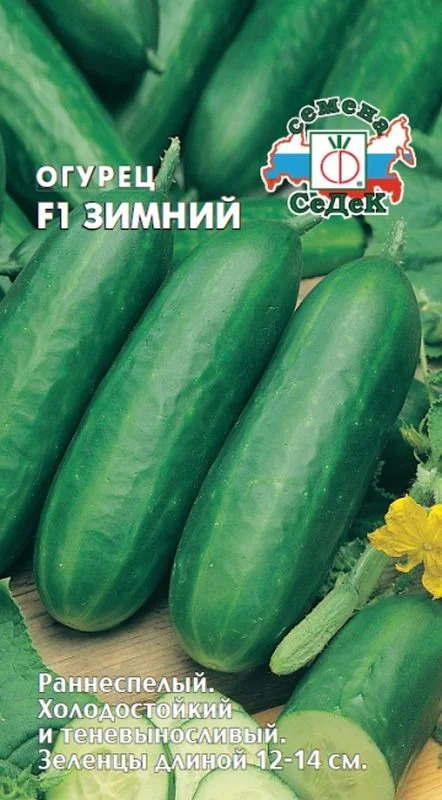 Огурец Зимний: описание и характеристики сорта, правила посадки и ...