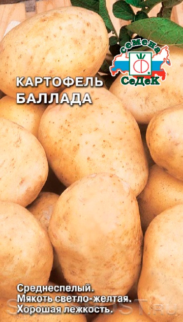 Картофель Баллада: описание и характеристики, особенности посадки и ...