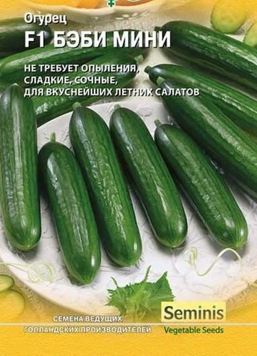 Огурец Бэби Мини: описание и характеристики сорта, правила посадки и ...