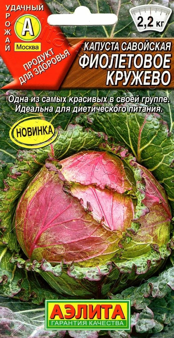 Капуста савойская Фиолетовое кружево: описание и характеристики сорта ...