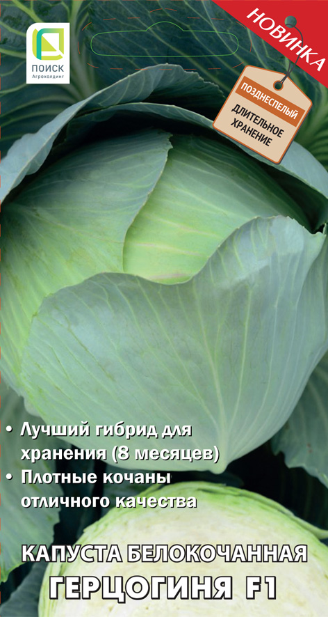 Капуста Герцогиня: описание и характеристики сорта, особенности ...