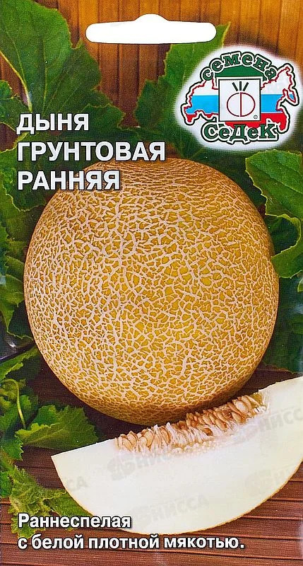 Дыня Грунтовая ранняя: описание и характеристики сорта, особенности ...