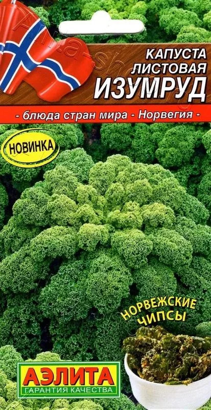 Капуста листовая Изумруд: описание и характеристики сорта, особенности ...
