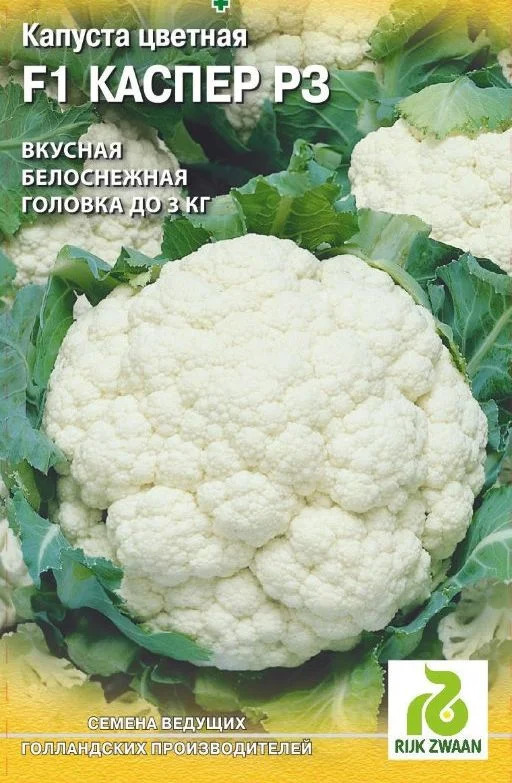 Капуста цветная Каспер РЗ: особенности и характеристики сорта ...