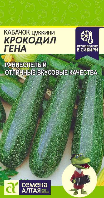 Кабачок Крокодил Гена: описание и характеристики сорта, особенности ...
