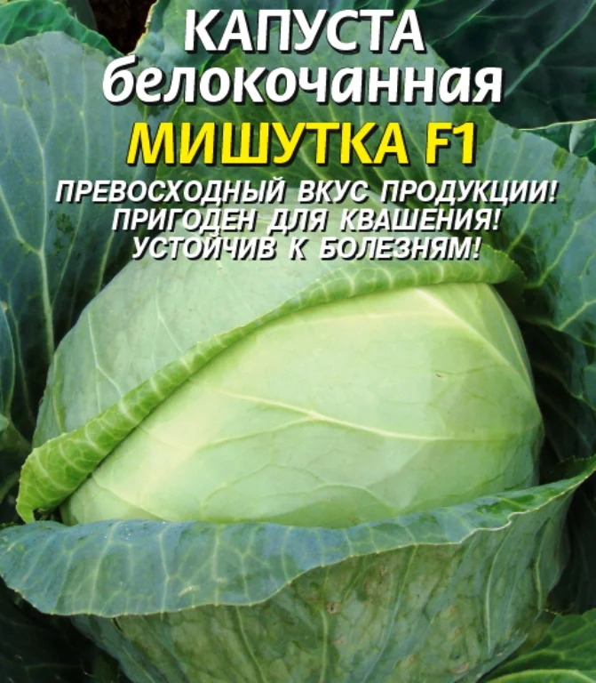 Капуста Мишутка: описание и характеристики сорта, особенности ...