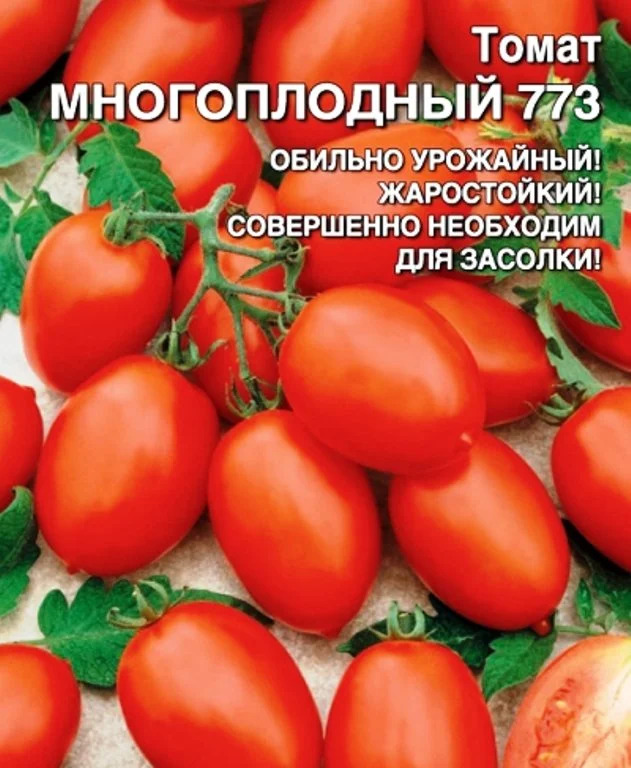 Томат Многоплодный 773: описание сорта помидоров, характеристики ...