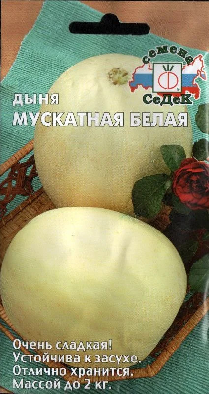 Дыня Мускатная белая: описание и характеристики сорта, особенности ...
