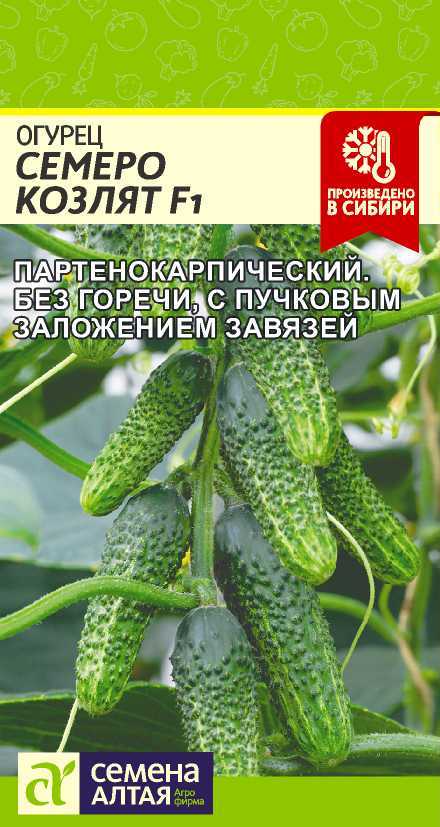 Огурец Семеро козлят: описание и характеристики сорта, правила посадки ...