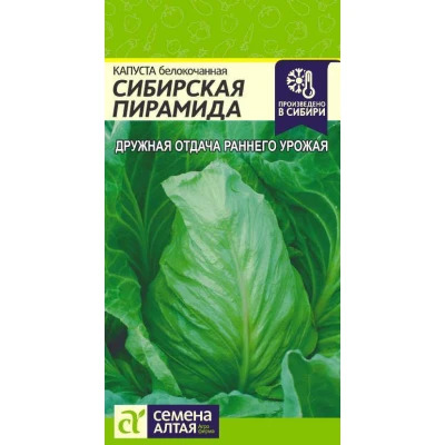 Капуста Сибирская Пирамида: описание и характеристики сорта ...