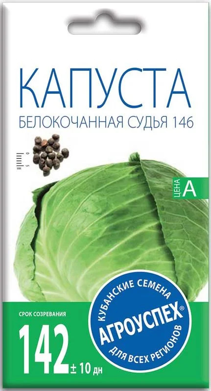Капуста Судья 146: описание и характеристики сорта, особенности ...