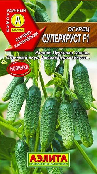 Огурец Суперхруст: описание и характеристики сорта, правила посадки и ...