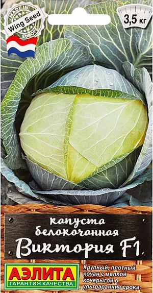 Капуста Виктория: описание и характеристики сорта, особенности ...