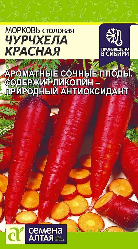 Морковь Чурчхела красная: описание и характеристики сорта, правила ...