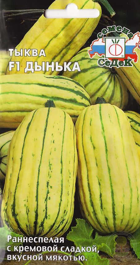 Тыква Дынька: особенности сорта, характеристика плодов, агротехника ...