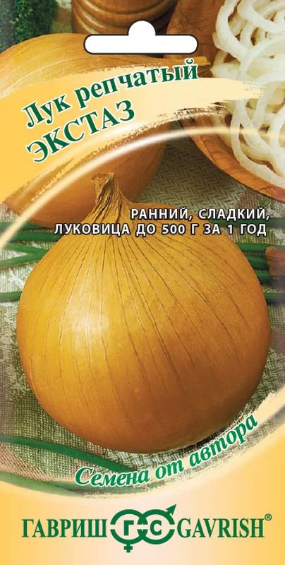 Лук Экстаз: описание и характеристики сорта, агротехника посадки и ...