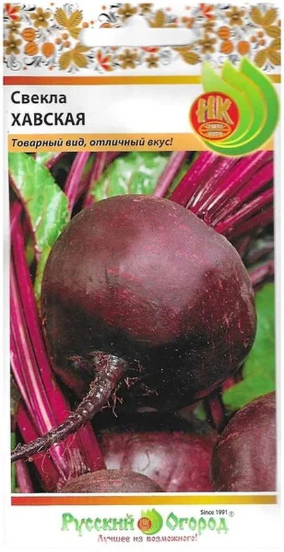 Свекла Хавская: особенности и характеристики сорта, агротехника посадки ...