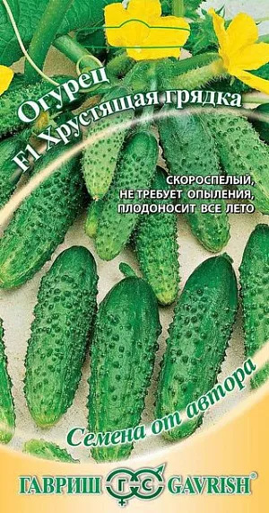 Огурец Хрустящая грядка: описание и характеристики сорта, правила ...