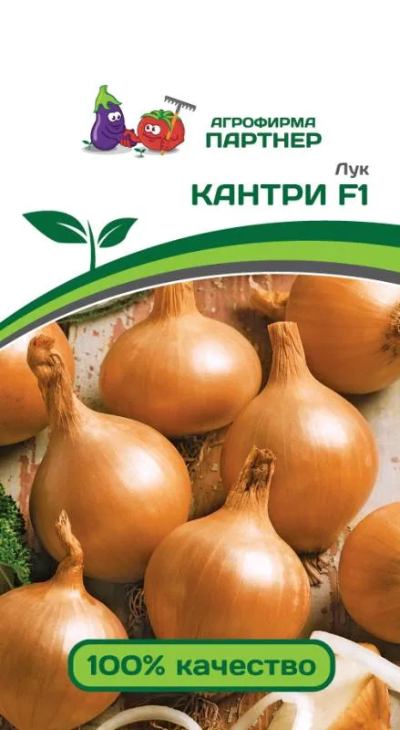 Лук Кантри: описание и характеристики сорта, агротехника посадки и ...