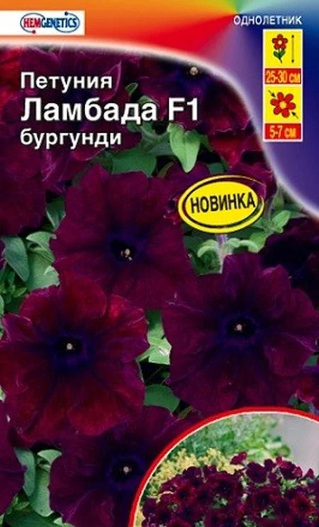 Петуния Ламбада Бургунди: описание сорта, характеристики, тонкости ...