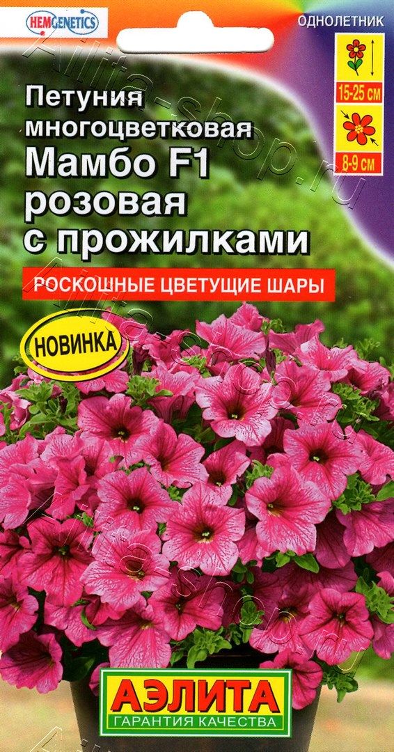 Петуния Мамбо Розовая с прожилками: описание сорта, характеристики ...