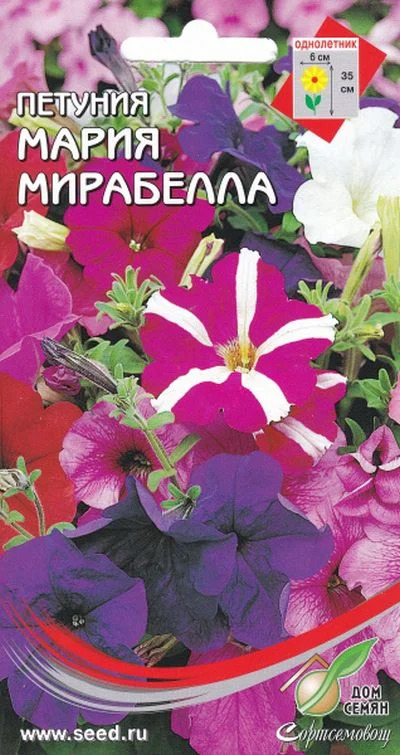 Петуния Мария Мирабелла: описание сорта, характеристики, тонкости ...