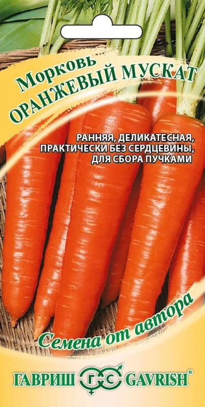 Морковь Оранжевый мускат: описание и характеристики сорта, правила ...