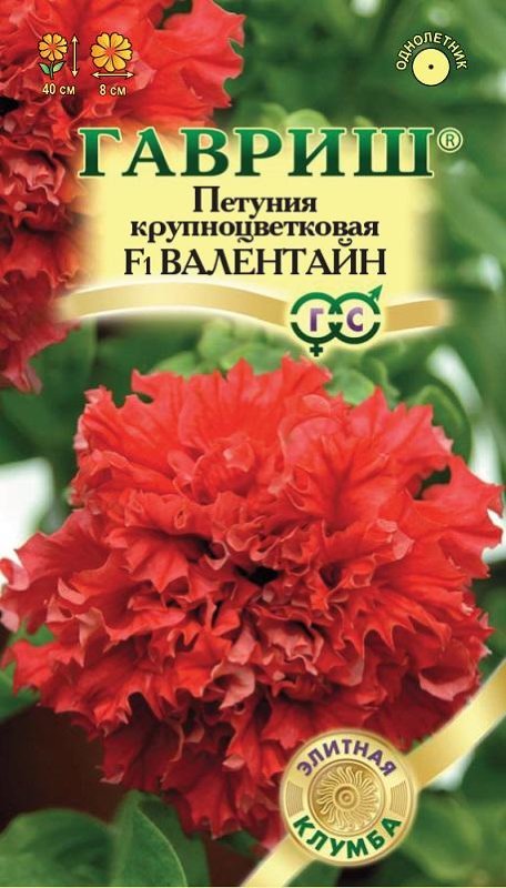 Петуния Валентайн: описание сорта, характеристики, тонкости посадки и ...