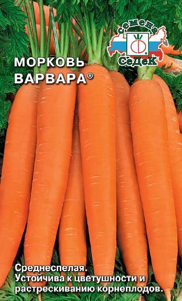 Морковь Варвара: описание и характеристики сорта, правила посадки и ...