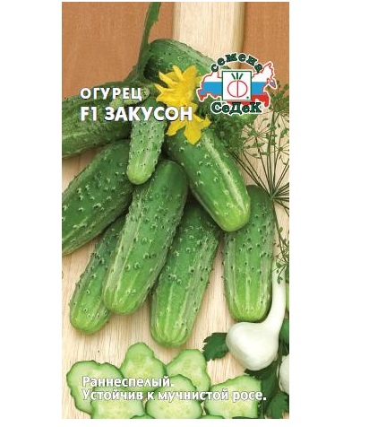 Огурец Закусон: описание и характеристики сорта, правила посадки и ...