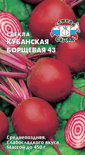 Свекла Кубанская борщевая 43: особенности и характеристики сорта ...