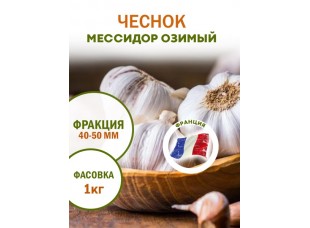 Чеснок Мессидор: особенности и характеристики сорта, правила посадки и ...