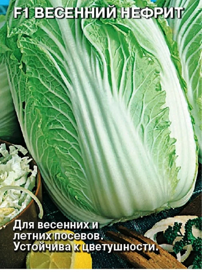 Капуста пекинская Весенний Нефрит: описание и характеристики сорта ...