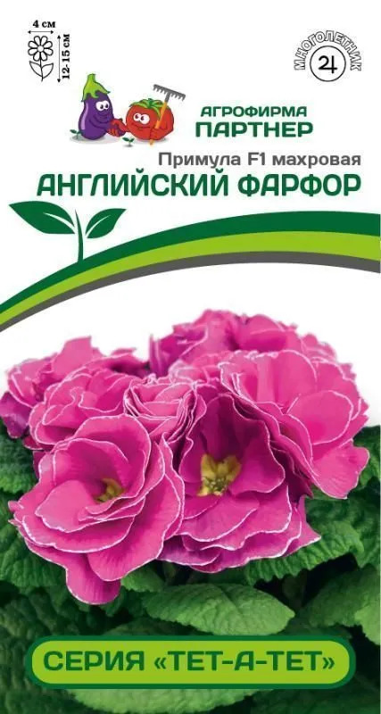 Примула Английский фарфор: описание сорта, характеристики, особенности посадки и выращивания, отзывы