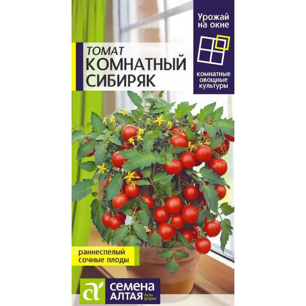 Томат Комнатный Сибиряк: описание сорта помидоров, характеристики ...