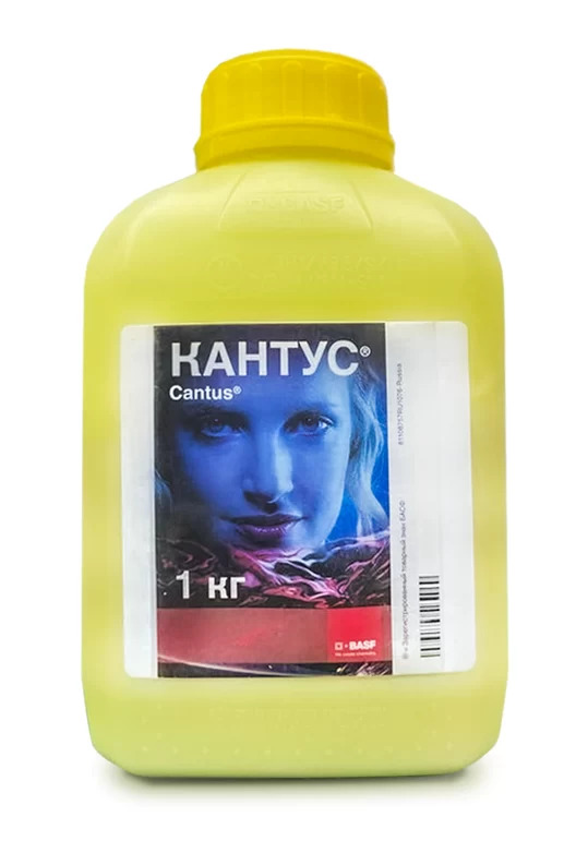 Препарат Кантус ВДГ инструкция по применению и назначение Как