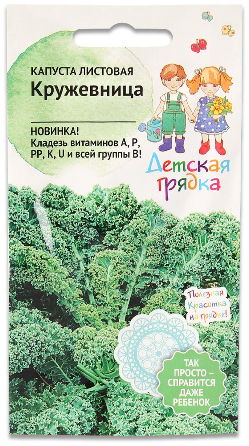 Капуста листовая Кружевница: описание и характеристики сорта ...