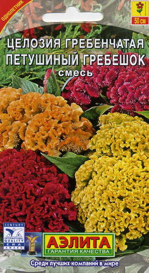 Целозия Петушиный гребешок смесь: описание сорта, характеристики ...
