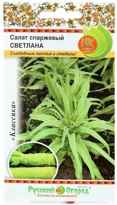 Салат спаржевый Светлана: описание и характеристики сорта, особенности ...