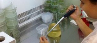 ООО Научно-производственное предприятие "Микроклон": адрес, телефон ...